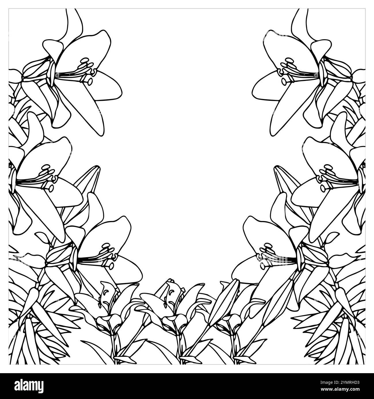 Frame with lilies in doodle style. Element for your design. Vector ...