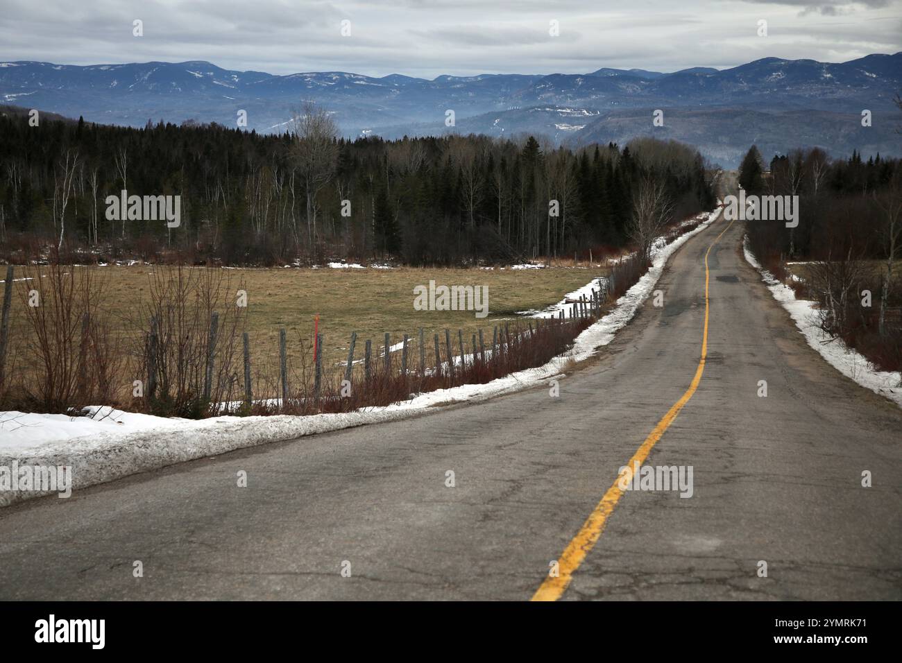Quebec faune hi-res stock photography and images - Alamy