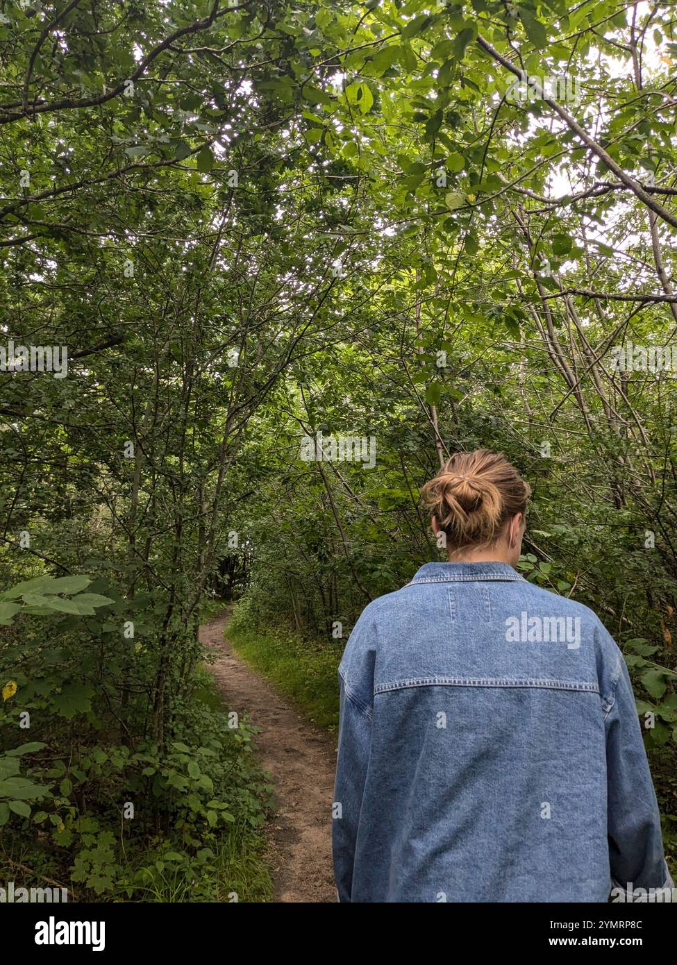 take a walk in nature Stock Photo - Alamy