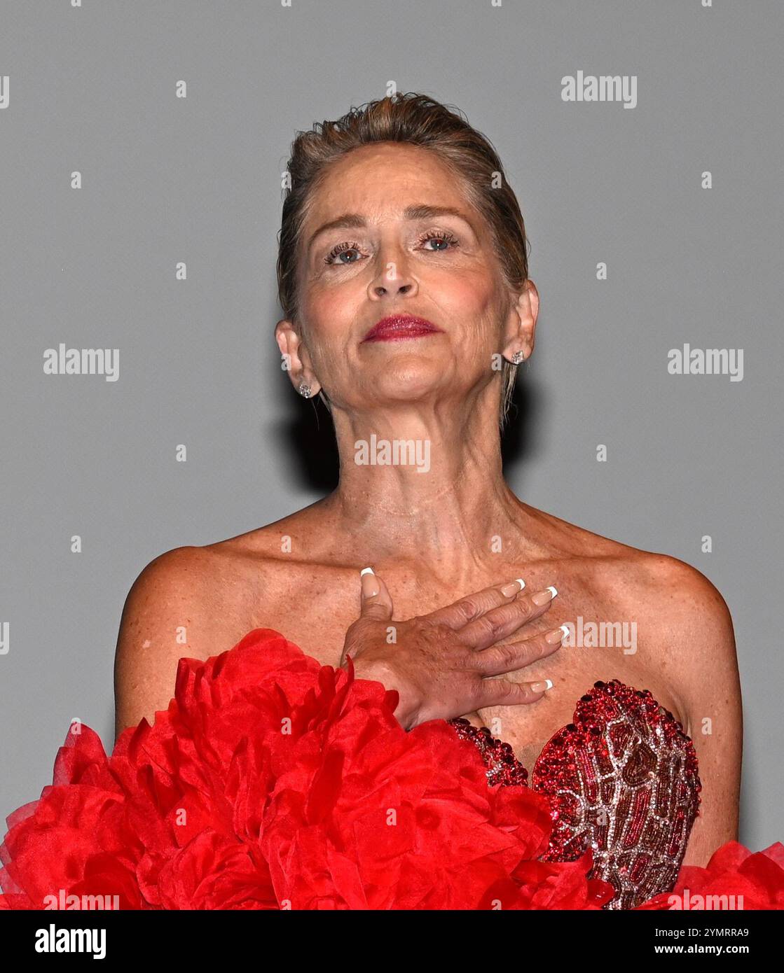 Turin, Italy Turin Film Festival 42Tff 2024 Sharon Stone on the red ...