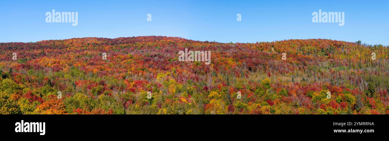 Colorful autumn trees; Lutsen Mountain, Lutsen, Minnesota, USA Stock ...