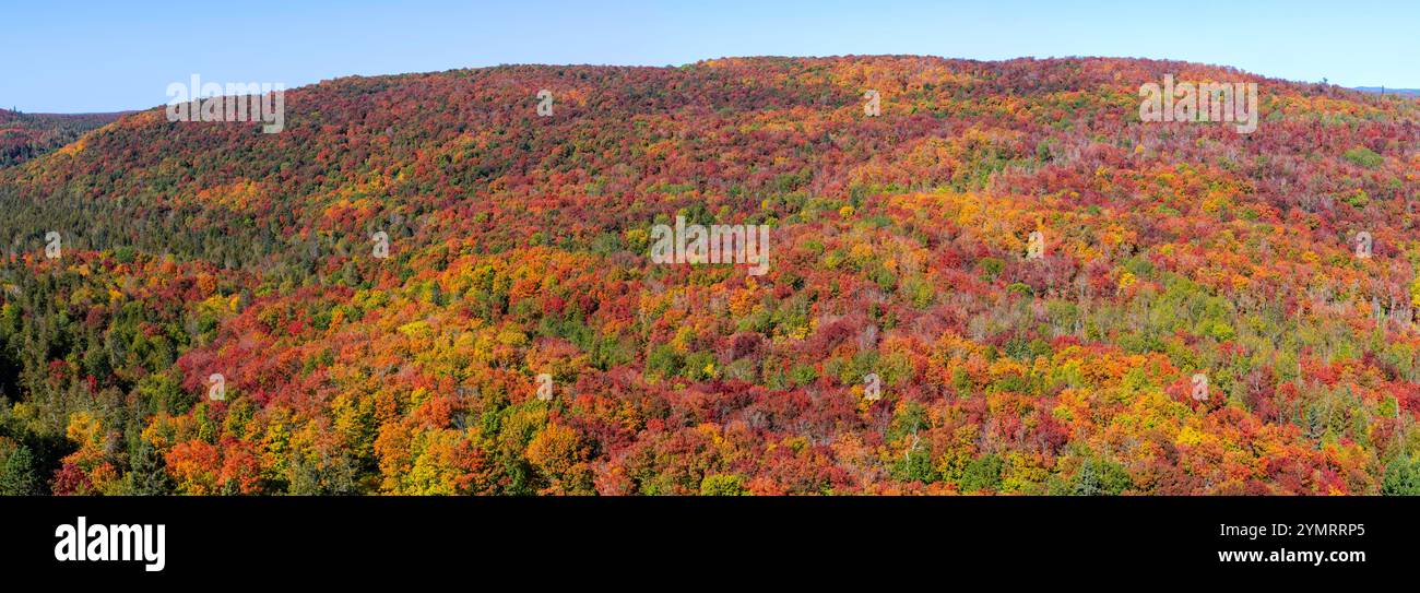 Colorful autumn trees; Lutsen Mountain, Lutsen, Minnesota, USA Stock ...