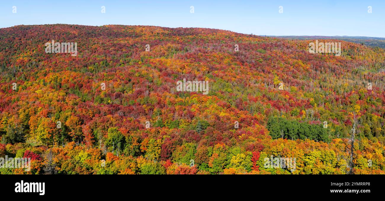 Colorful autumn trees; Lutsen Mountain, Lutsen, Minnesota, USA Stock ...