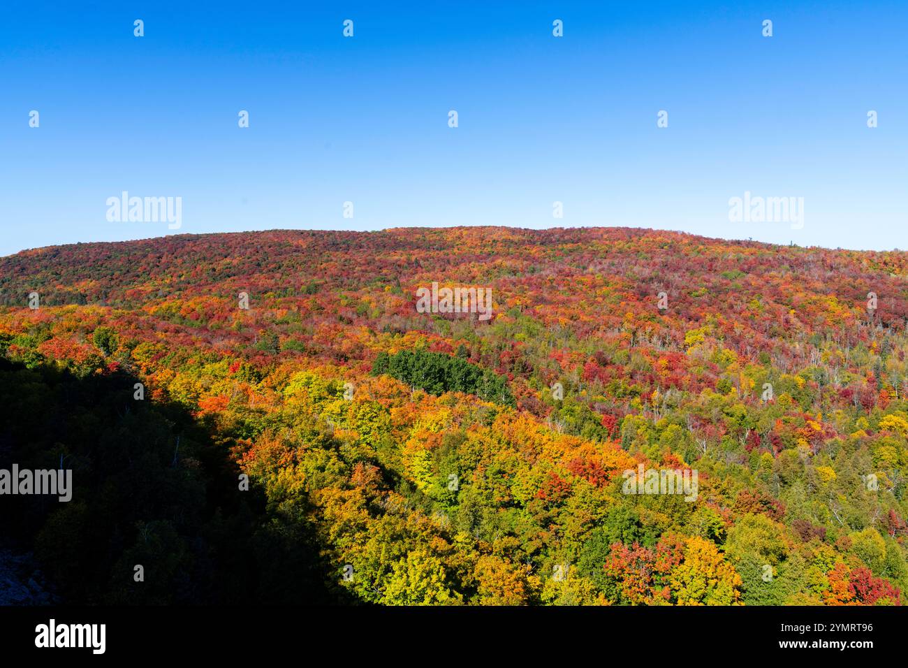 Colorful autumn trees; Lutsen Mountain, Lutsen, Minnesota, USA Stock ...