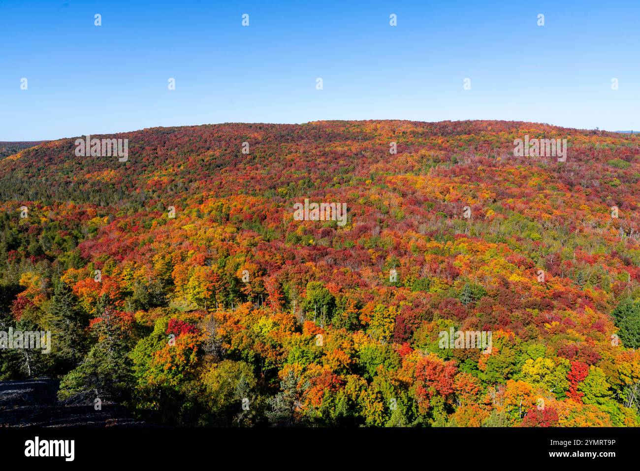 Colorful autumn trees; Lutsen Mountain, Lutsen, Minnesota, USA Stock ...