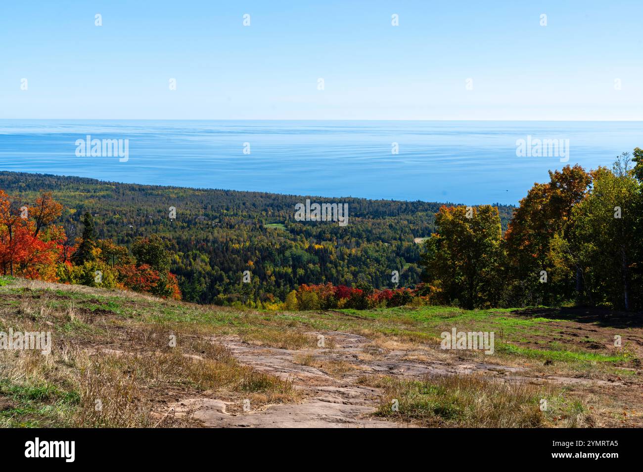 Colorful autumn trees; Lutsen Mountain, Lutsen, Minnesota, USA Stock ...