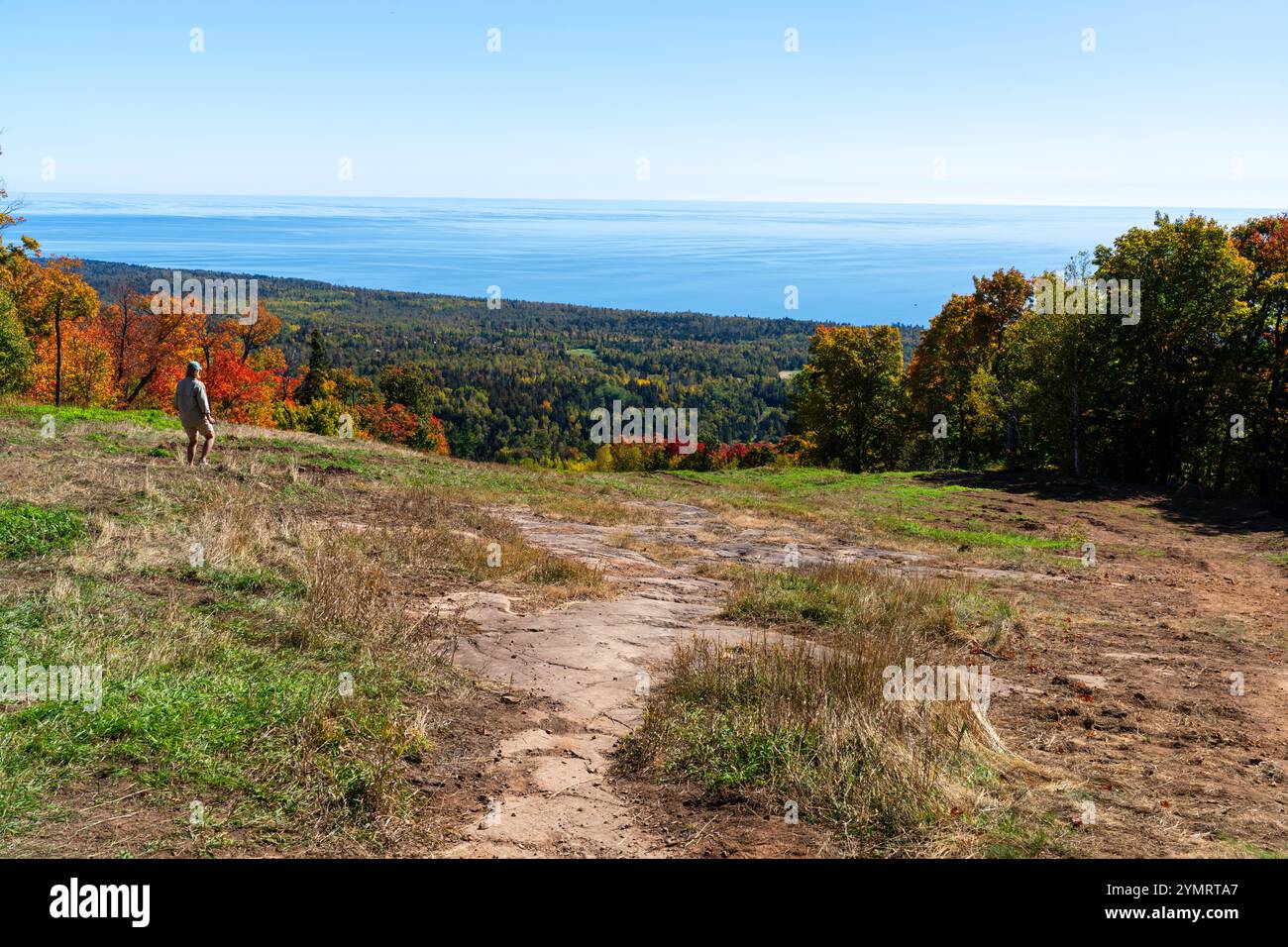 Colorful autumn trees; Lutsen Mountain, Lutsen, Minnesota, USA Stock ...