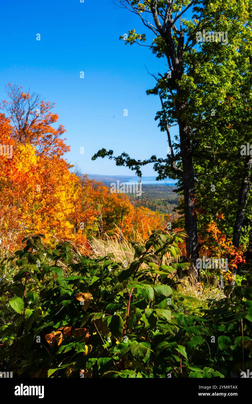 Colorful autumn trees; Lutsen Mountain, Lutsen, Minnesota, USA Stock ...