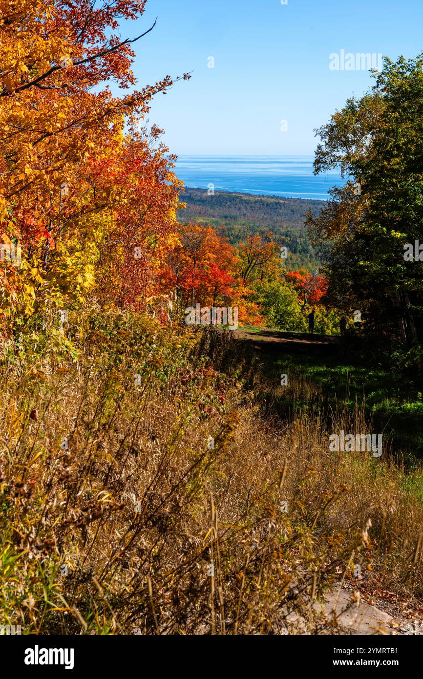 Colorful autumn trees; Lutsen Mountain, Lutsen, Minnesota, USA Stock ...