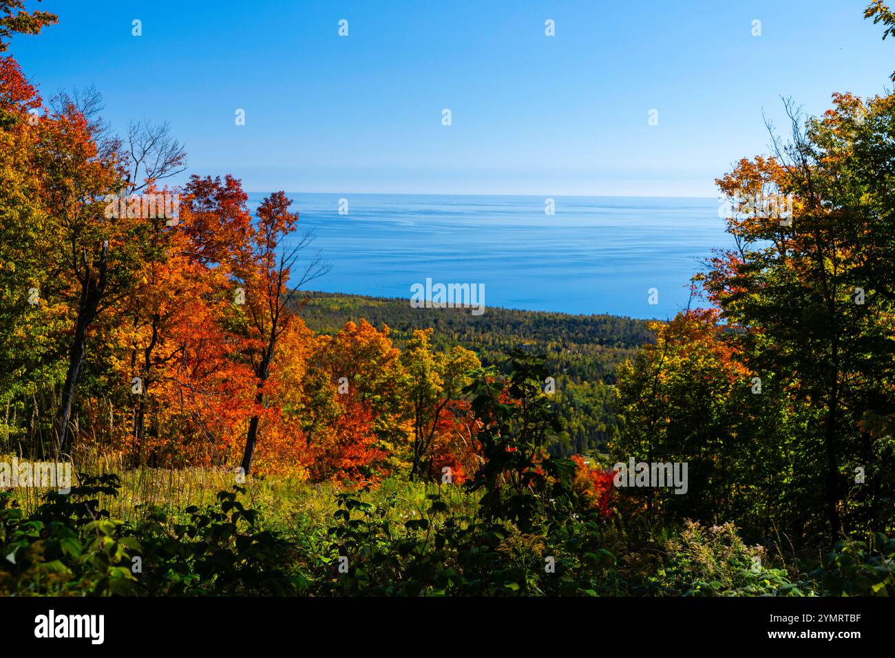 Colorful autumn trees; Lutsen Mountain, Lutsen, Minnesota, USA Stock ...