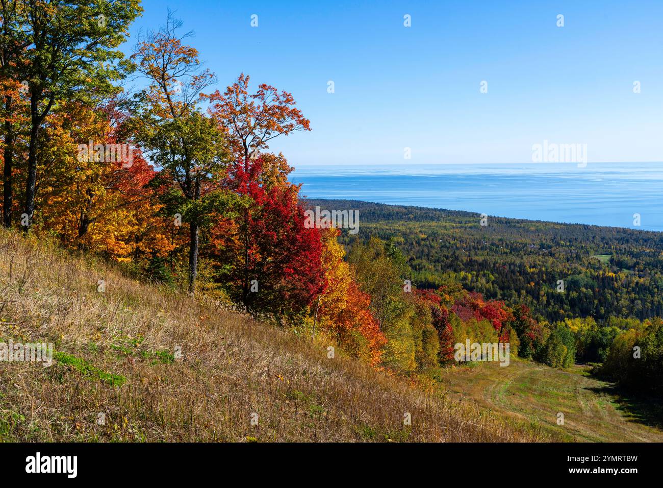 Colorful autumn trees; Lutsen Mountain, Lutsen, Minnesota, USA Stock ...