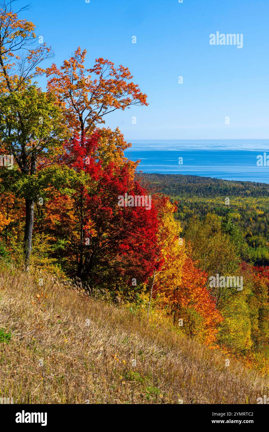 Colorful autumn trees; Lutsen Mountain, Lutsen, Minnesota, USA Stock ...