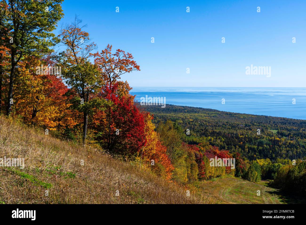 Colorful autumn trees; Lutsen Mountain, Lutsen, Minnesota, USA Stock ...