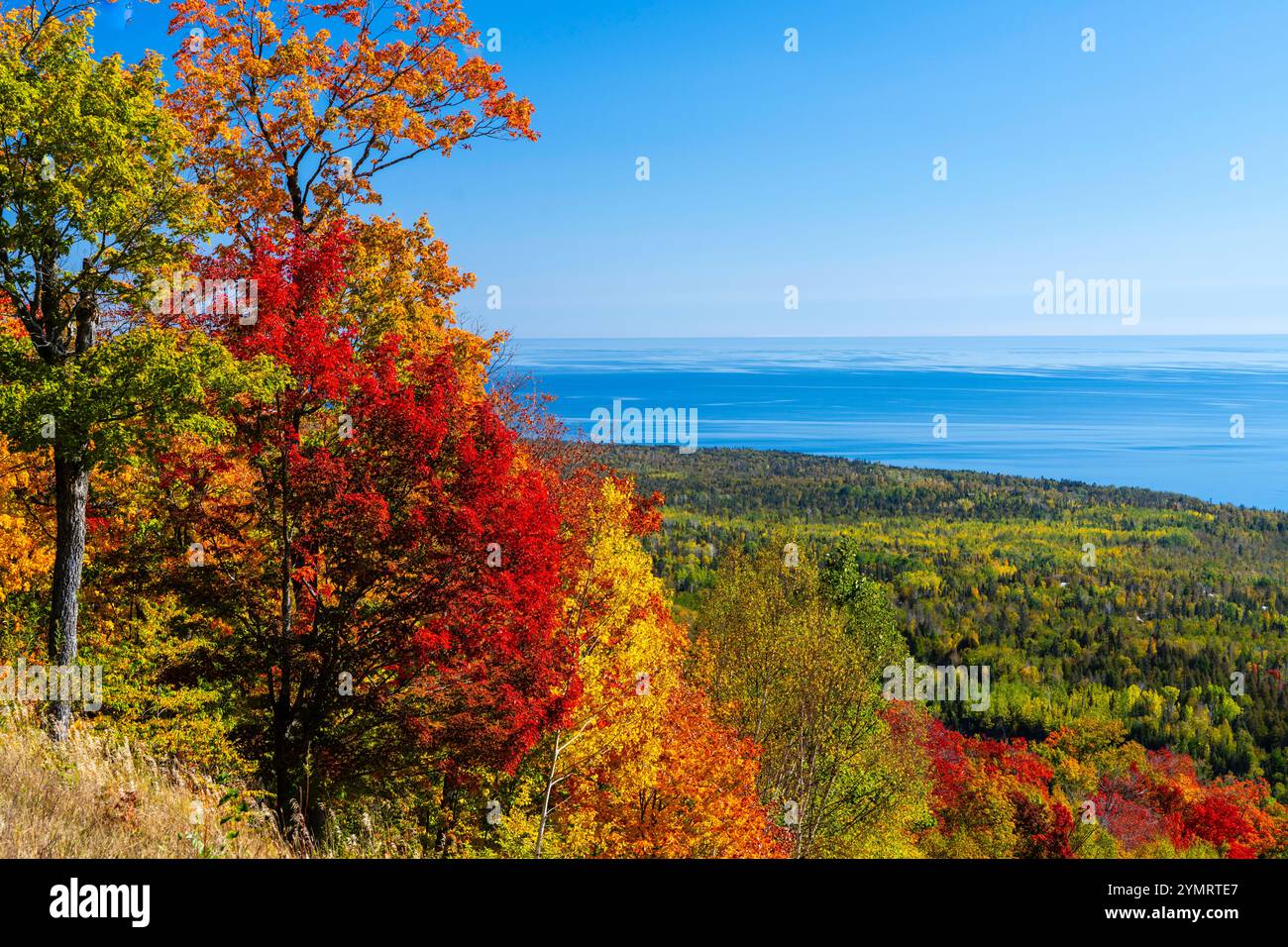 Colorful autumn trees; Lutsen Mountain, Lutsen, Minnesota, USA Stock ...