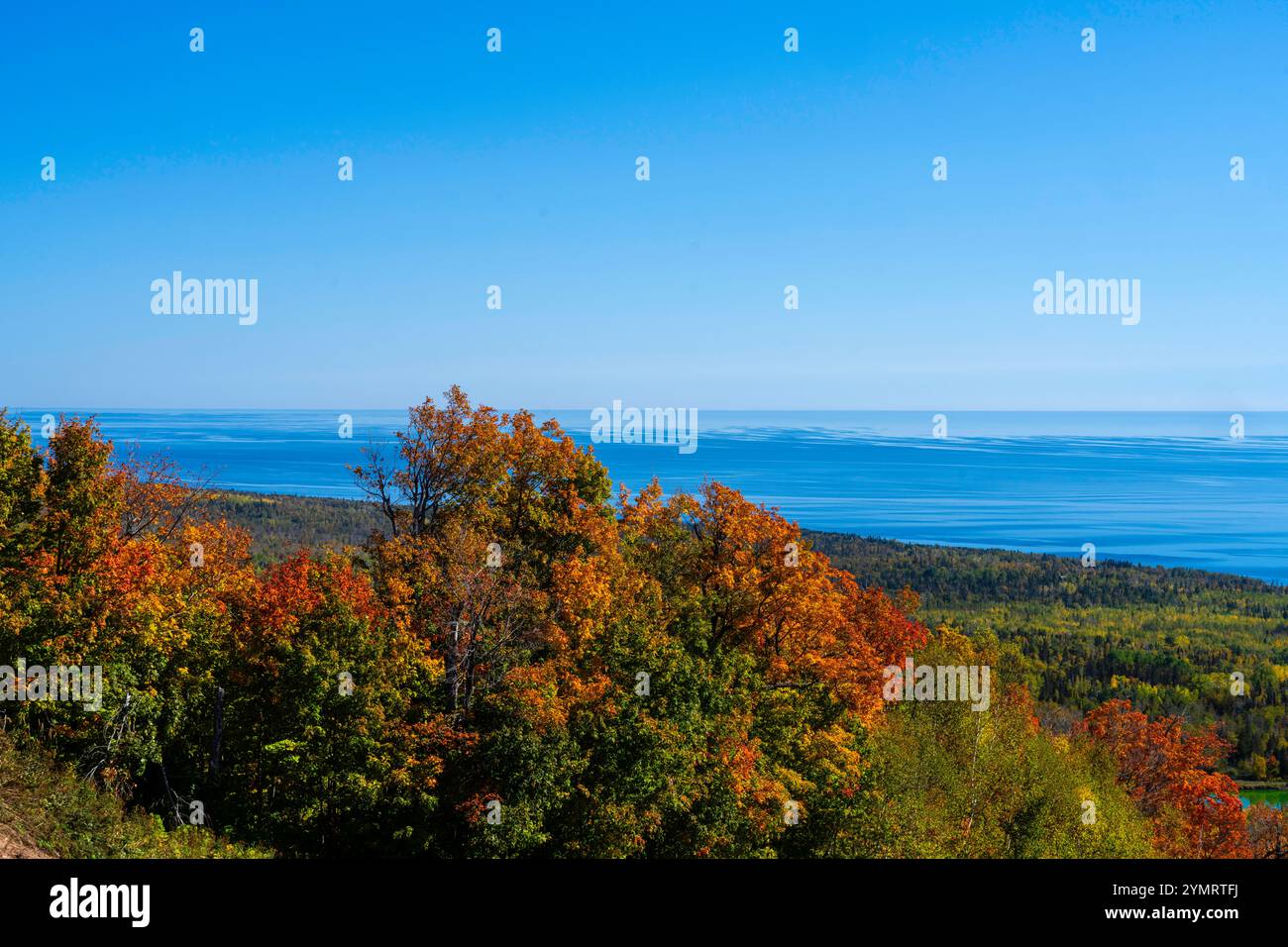 Colorful autumn trees; Lutsen Mountain, Lutsen, Minnesota, USA Stock ...