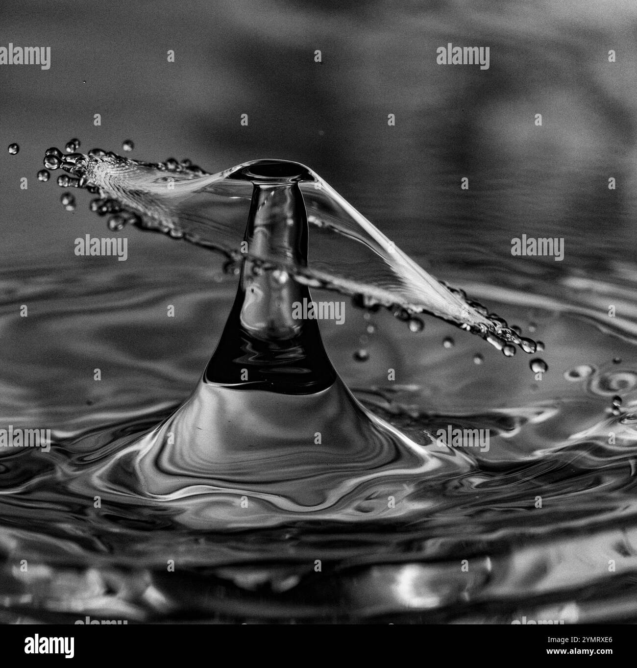 Water drop splashing and creating a beautiful conical crown with many ...