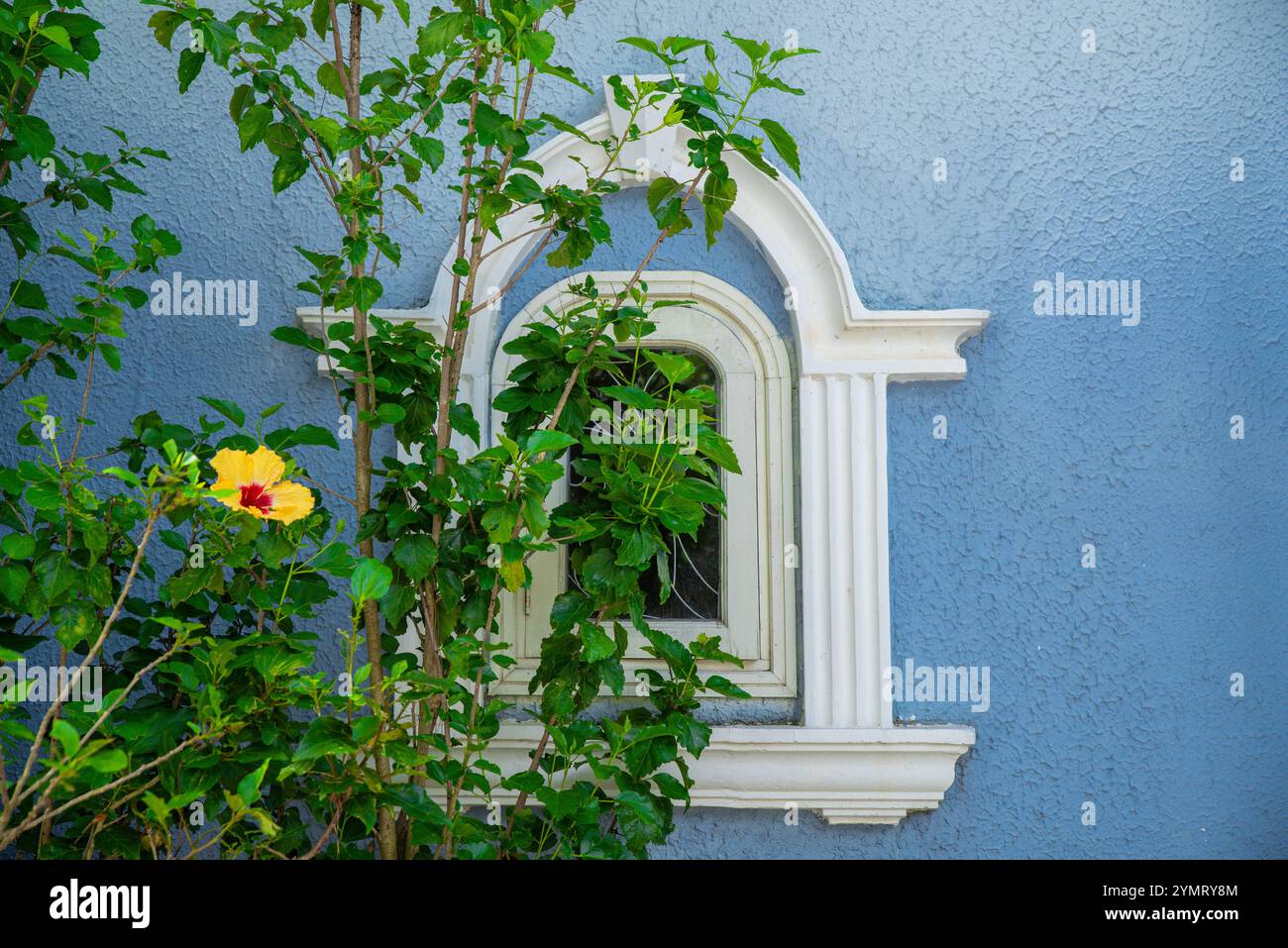 Blue wall with window hi-res stock photography and images - Alamy