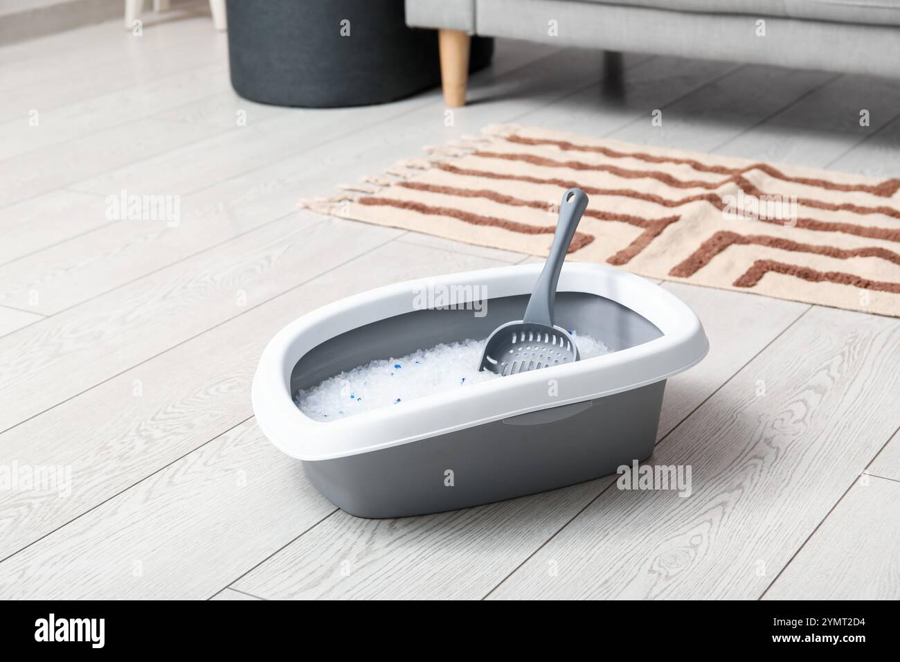 Grey litter box for cat on floor in room Stock Photo - Alamy