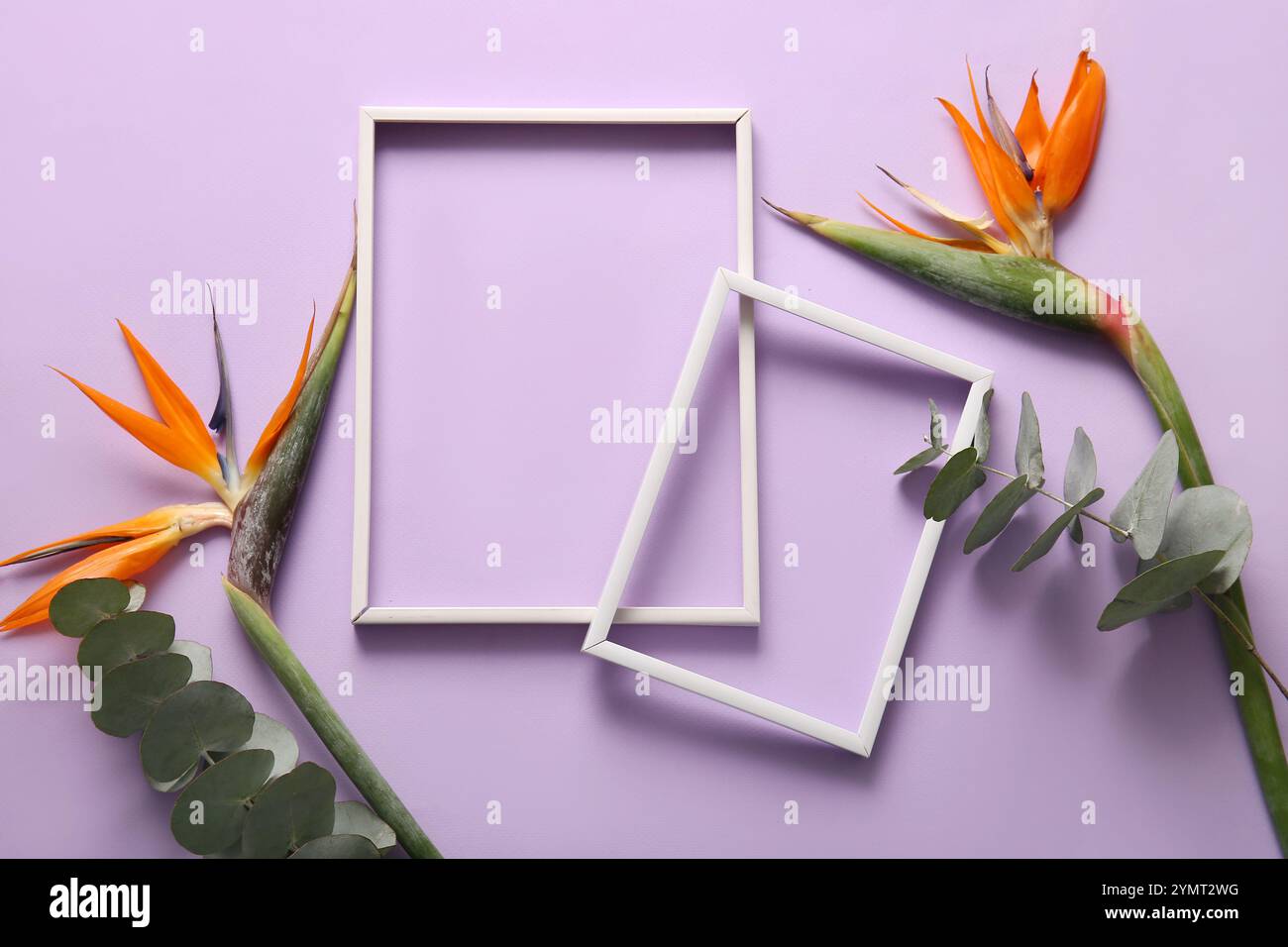 Empty picture frames beautiful hi-res stock photography and images - Alamy