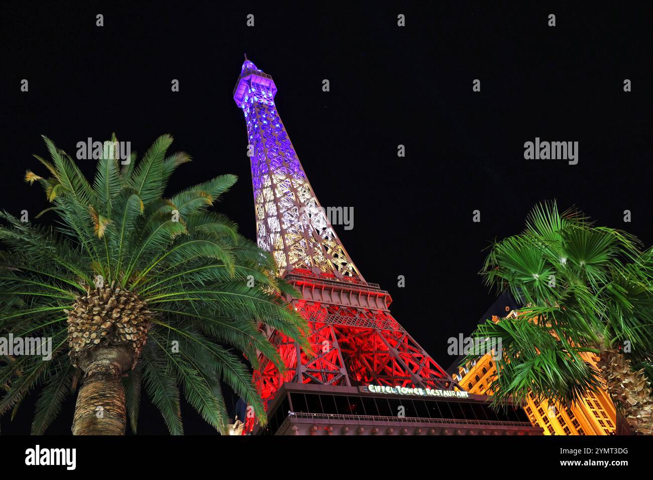 Las Vegas, USA. 22nd Nov, 2024. Las Vegas atmosphere. 22.11.2024 ...