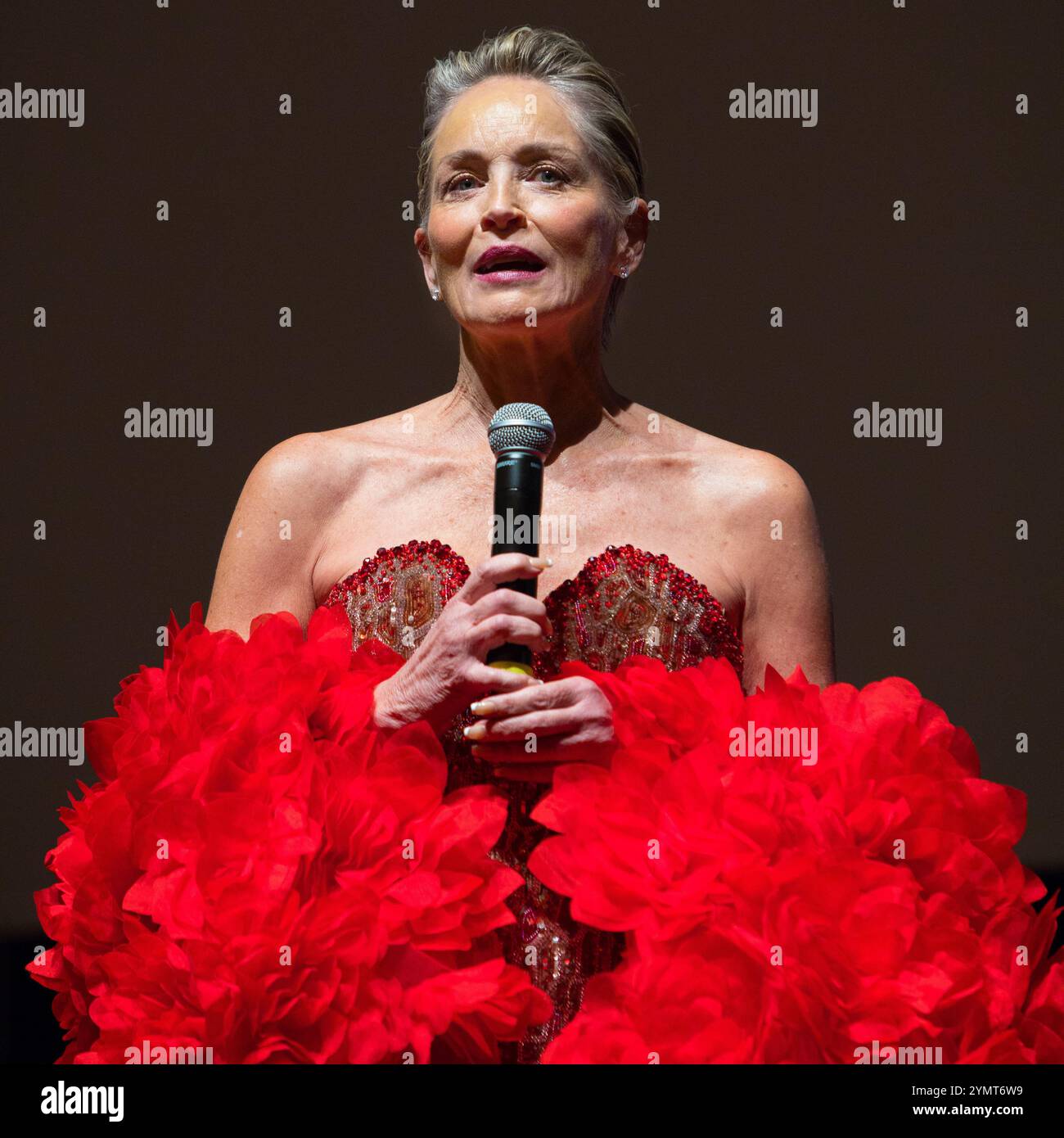 Turin, Italy. 22nd Nov, 2024. American actress Sharon Stone on stage ...