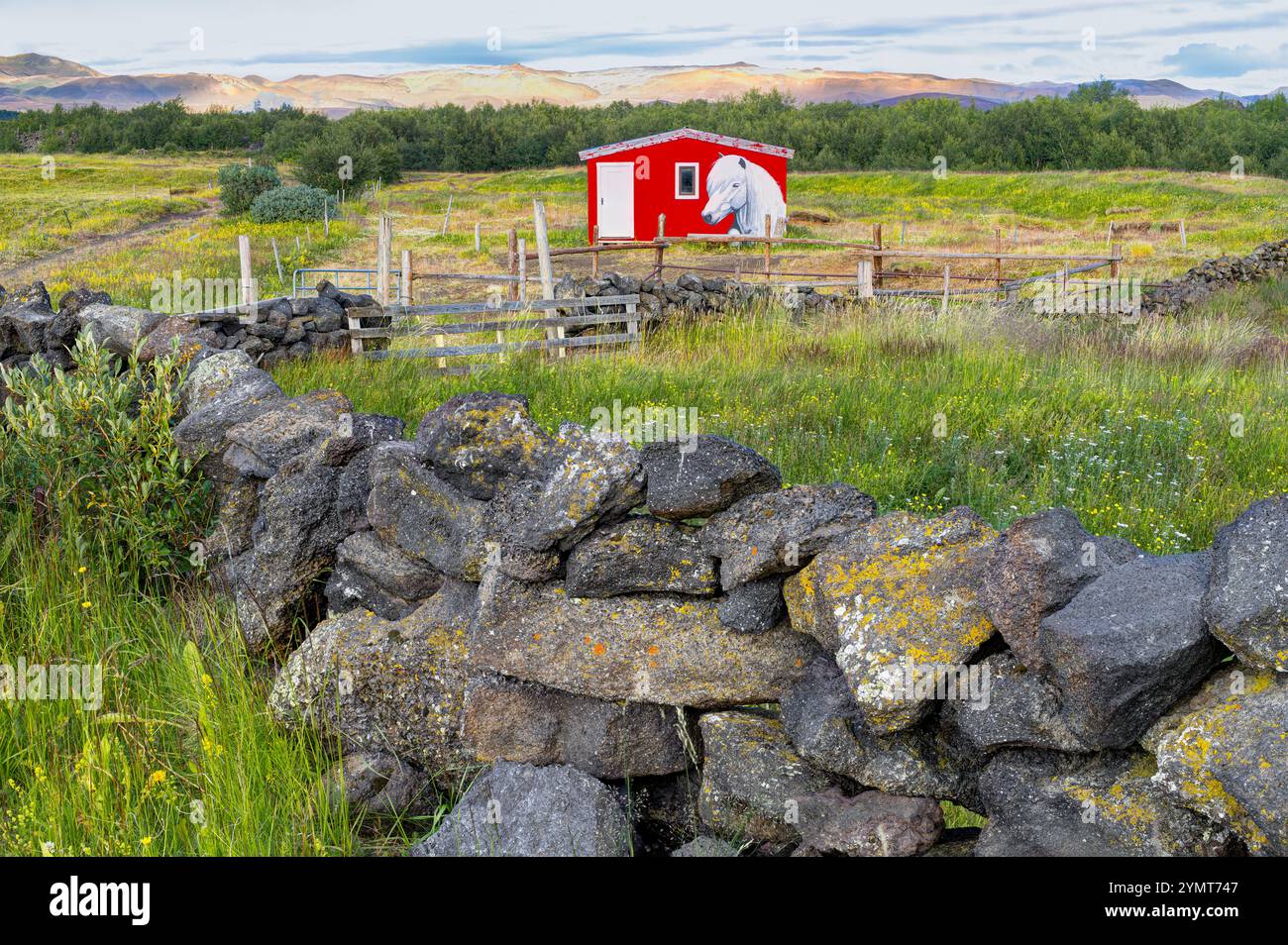 Dusk myvatn lake iceland hi-res stock photography and images - Alamy