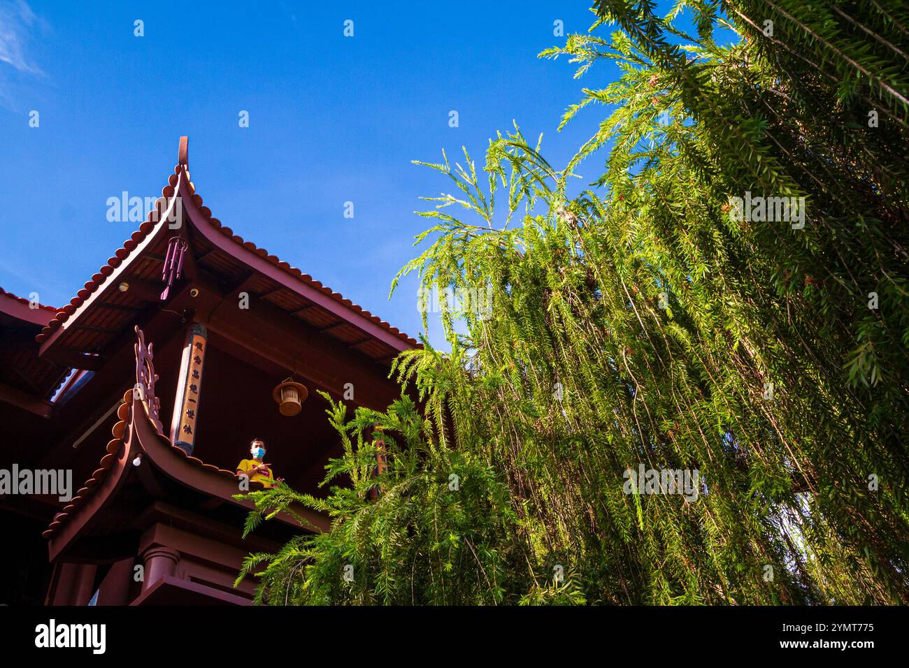 Hang Pagoda is a familiar name that people give to one of the famous ...