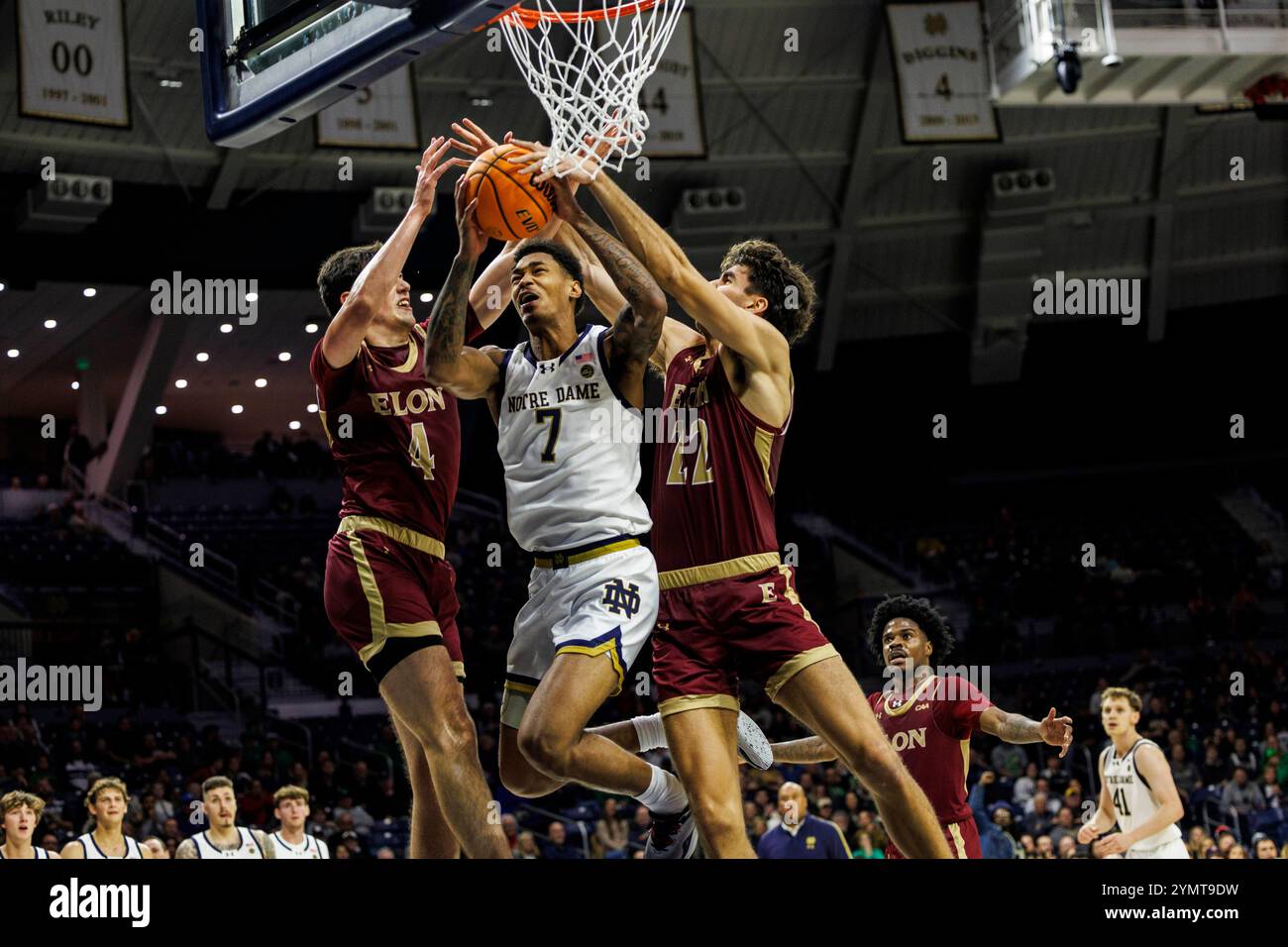 November 22, 2024: Notre Dame forward Tae Davis (7) goes up for shot as ...