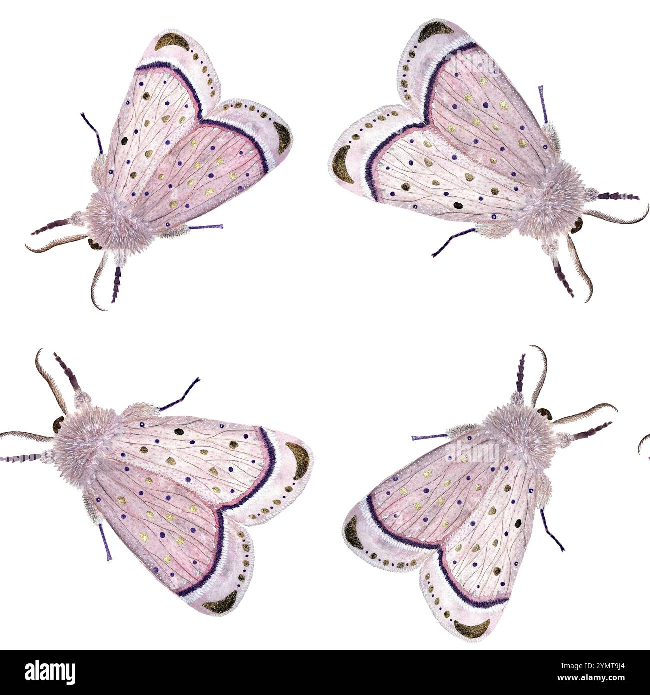 Dusty pink moth seamless pattern isolated on white. High quality hand ...