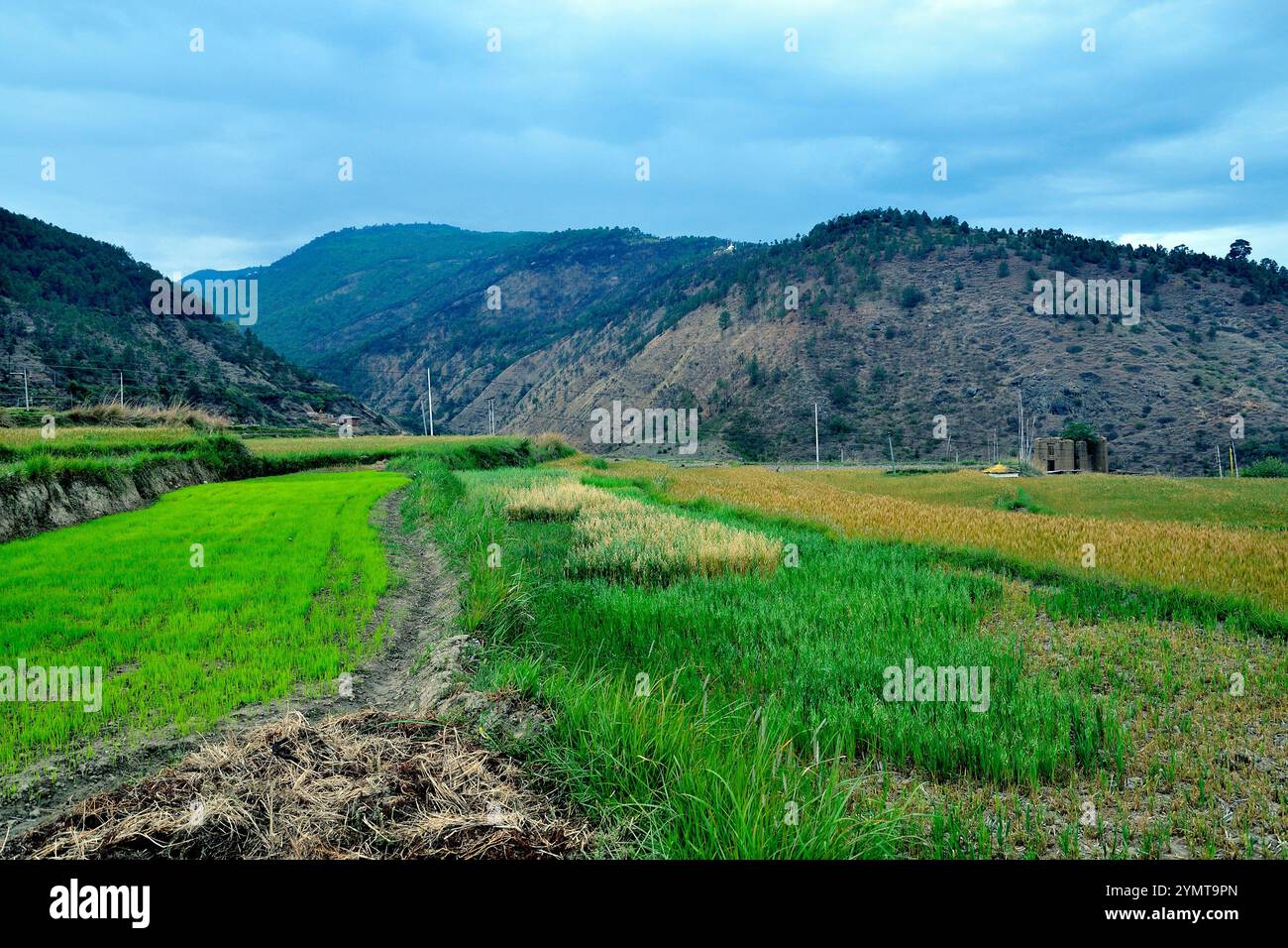 Beautiful and scenic landscapes, countryside, Bhutan Stock Photo - Alamy
