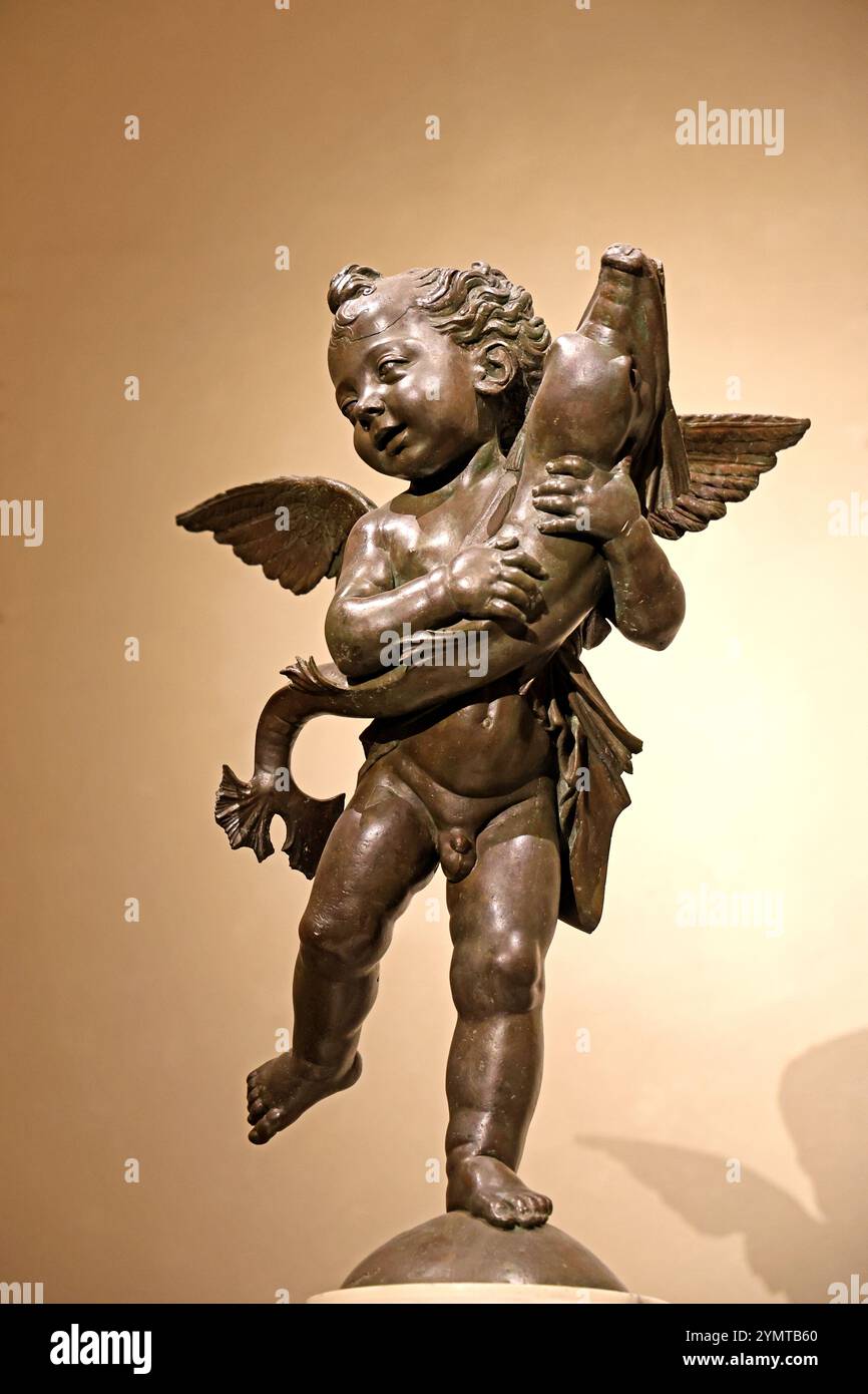 Statue Putto with a Dolphin in the Museum of Palazzo Vecchio in ...