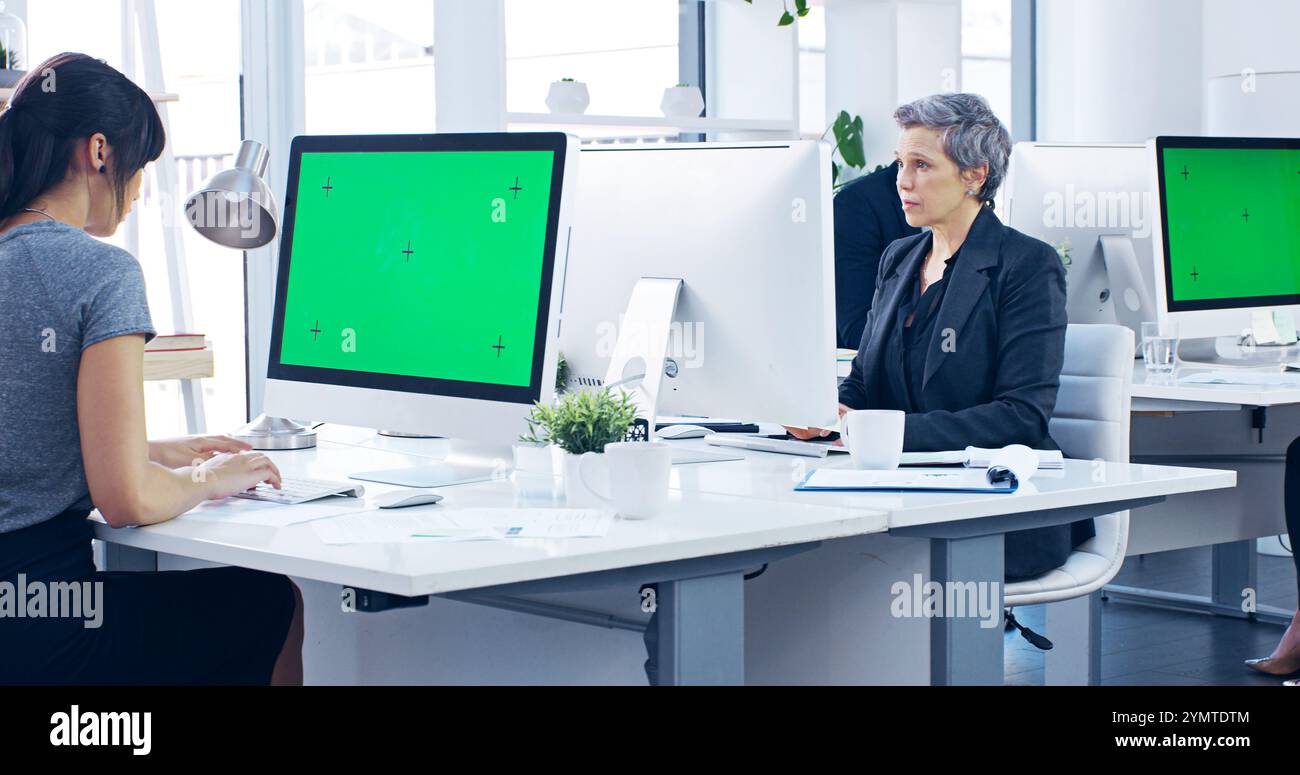 Green screen, computer and business people in office with research for ...