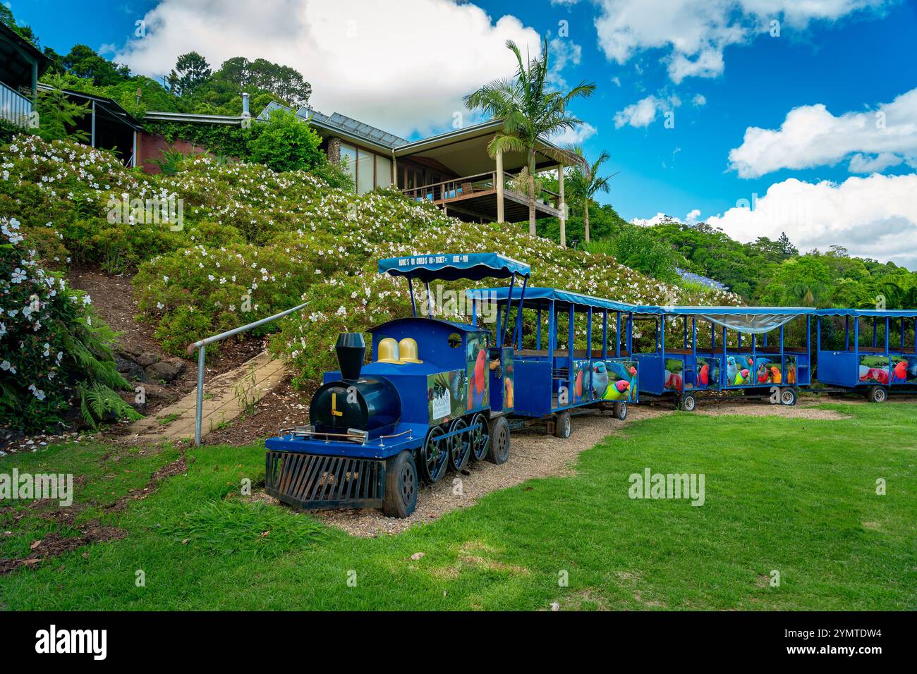 Maleny, QLD, Australia - Beautiful landscapes as Maleny Botanic Gardens ...