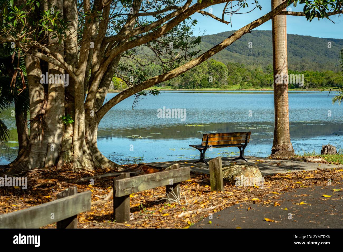 Beautiful landscapes at Wappa Dam park, QLD, Australia Stock Photo - Alamy