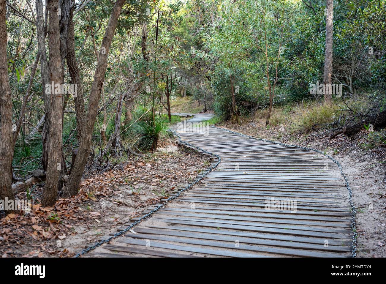 Bush trail queensland hi-res stock photography and images - Alamy