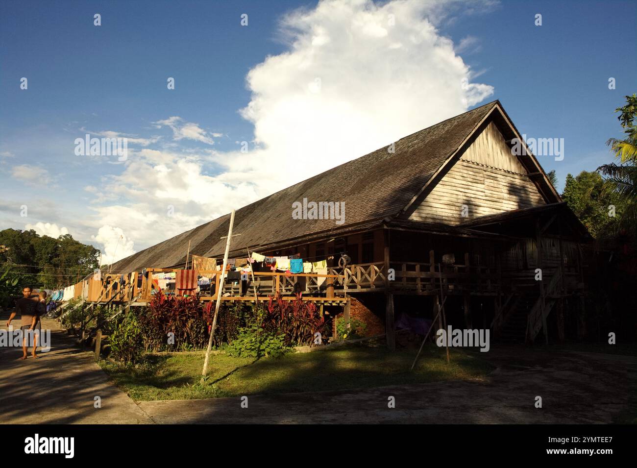 The longhouse of traditional Dayak Iban community in Sungai Utik, Batu ...