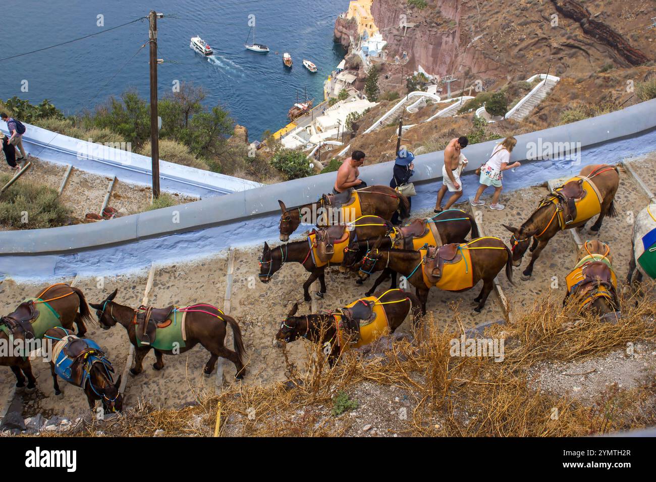 Donkey on stairs of santorini greece hi-res stock photography and ...