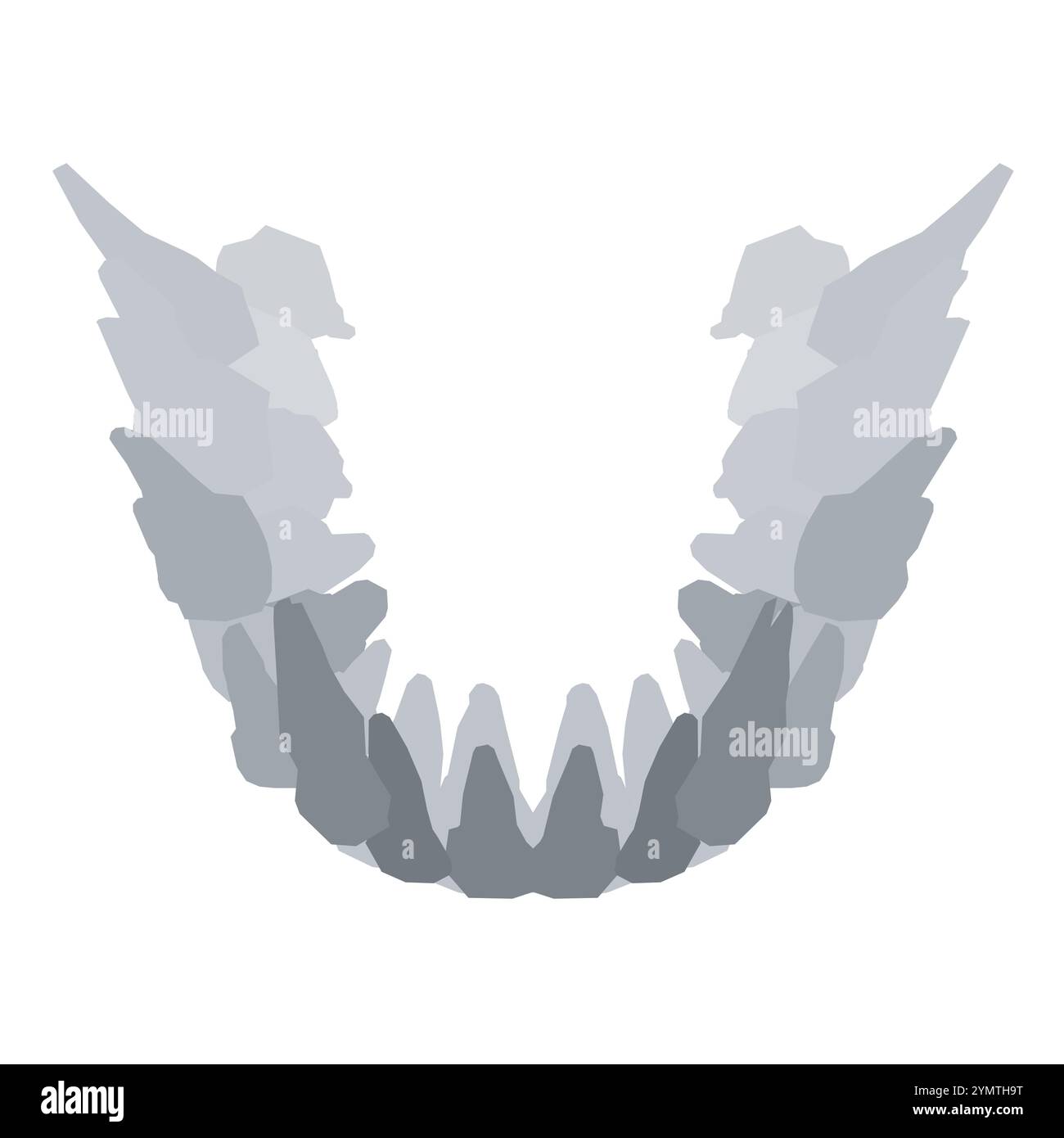 Types of tooth silhouette. Various human tooth with roots, molars ...