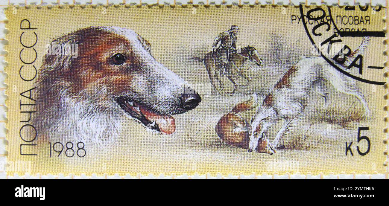 ISTANBUL, TURKEY - JANUARY 03, 2021: Soviet Union stamp shows Hunting ...