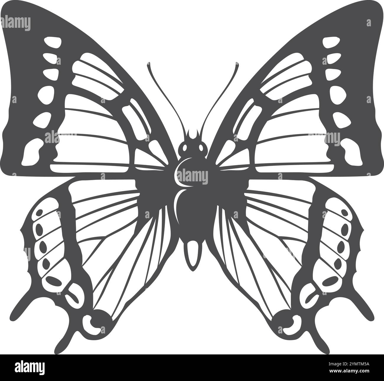 Patterned wings insect. Exotic beautiful butterfly drawing Stock Vector ...