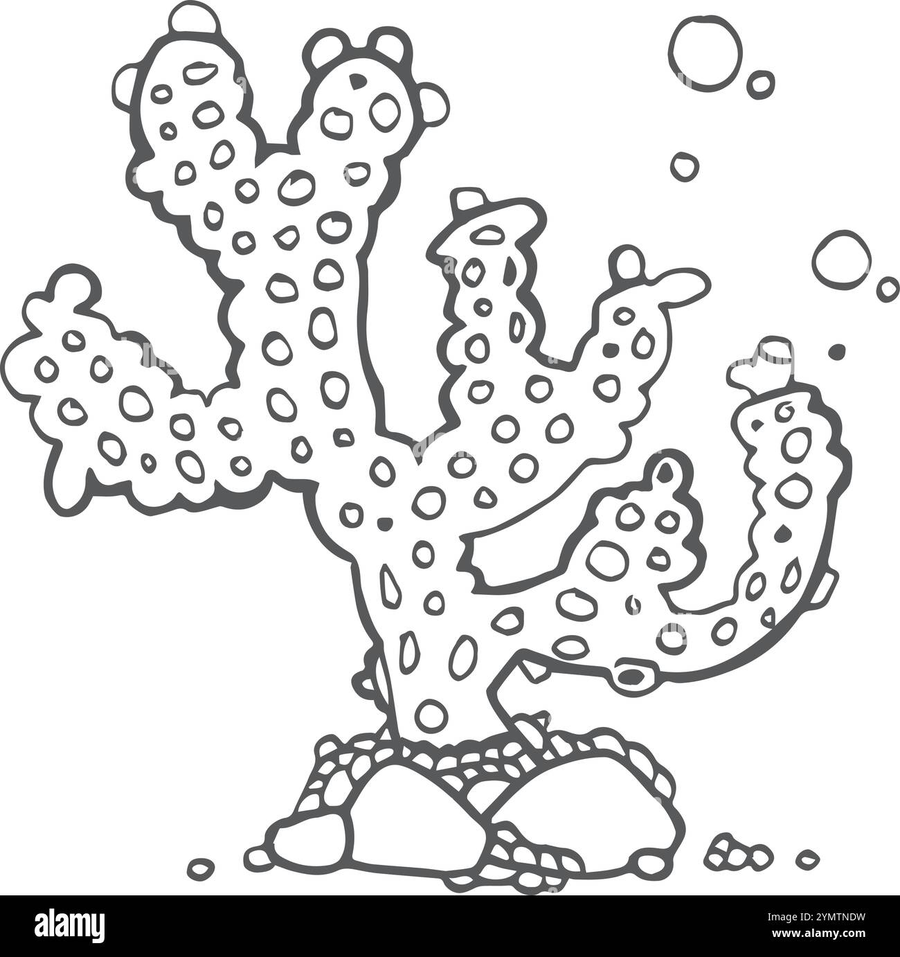 Ocean coral doodle. Hand drawn underwater wildlife Stock Vector Image ...