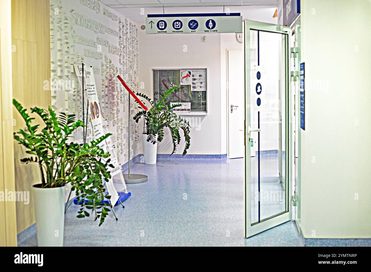 stylish light interior in a hospital with live plants in the patient ...