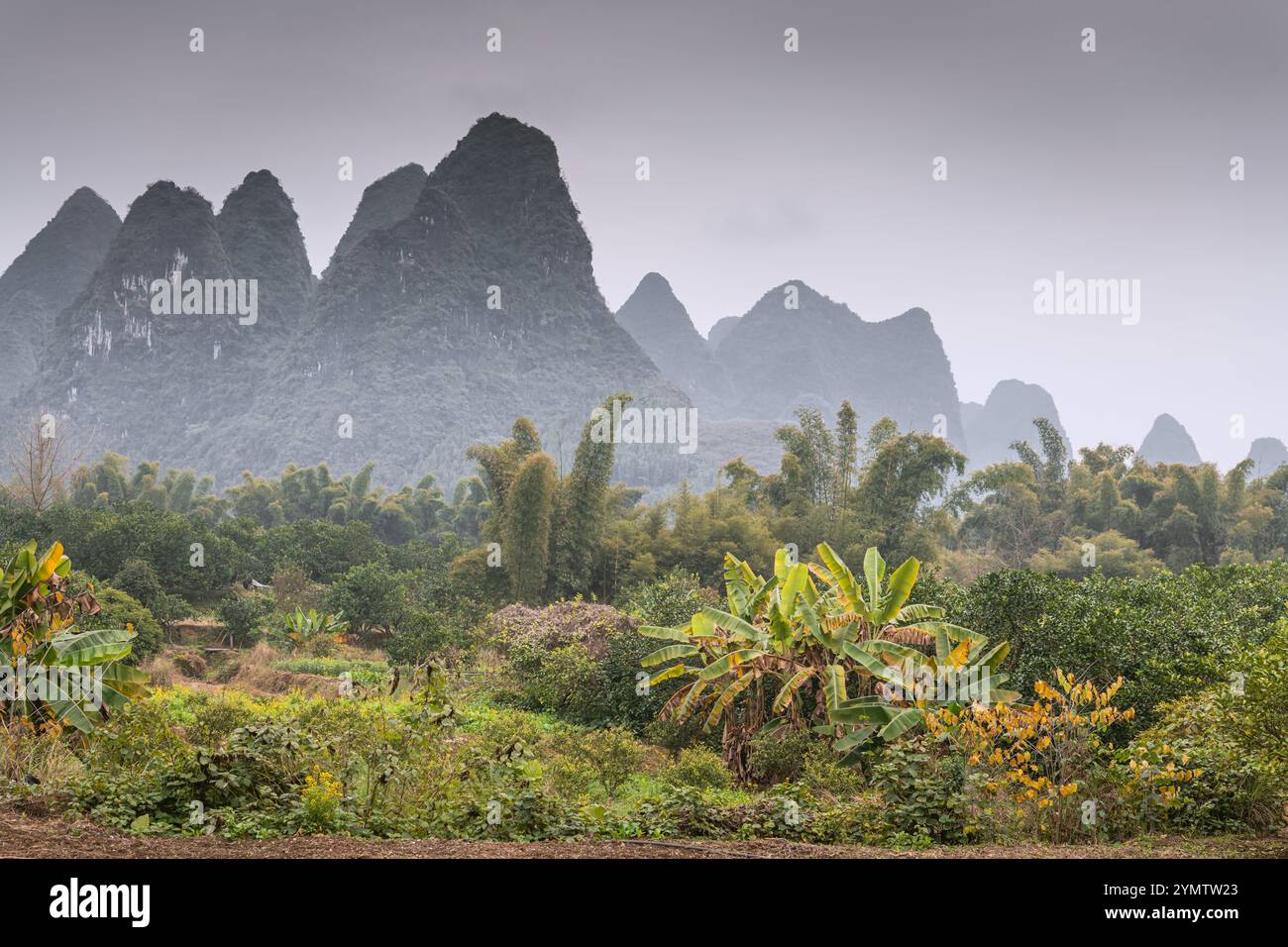 Beautiful Li river bamboo side Karst mountain landscape in Yangshuo ...