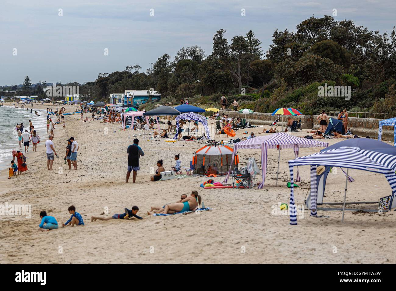 Melbourne, Australia. 23rd Nov, 2024. Locals and tourists alike flock to Dromana Beach, making ...
