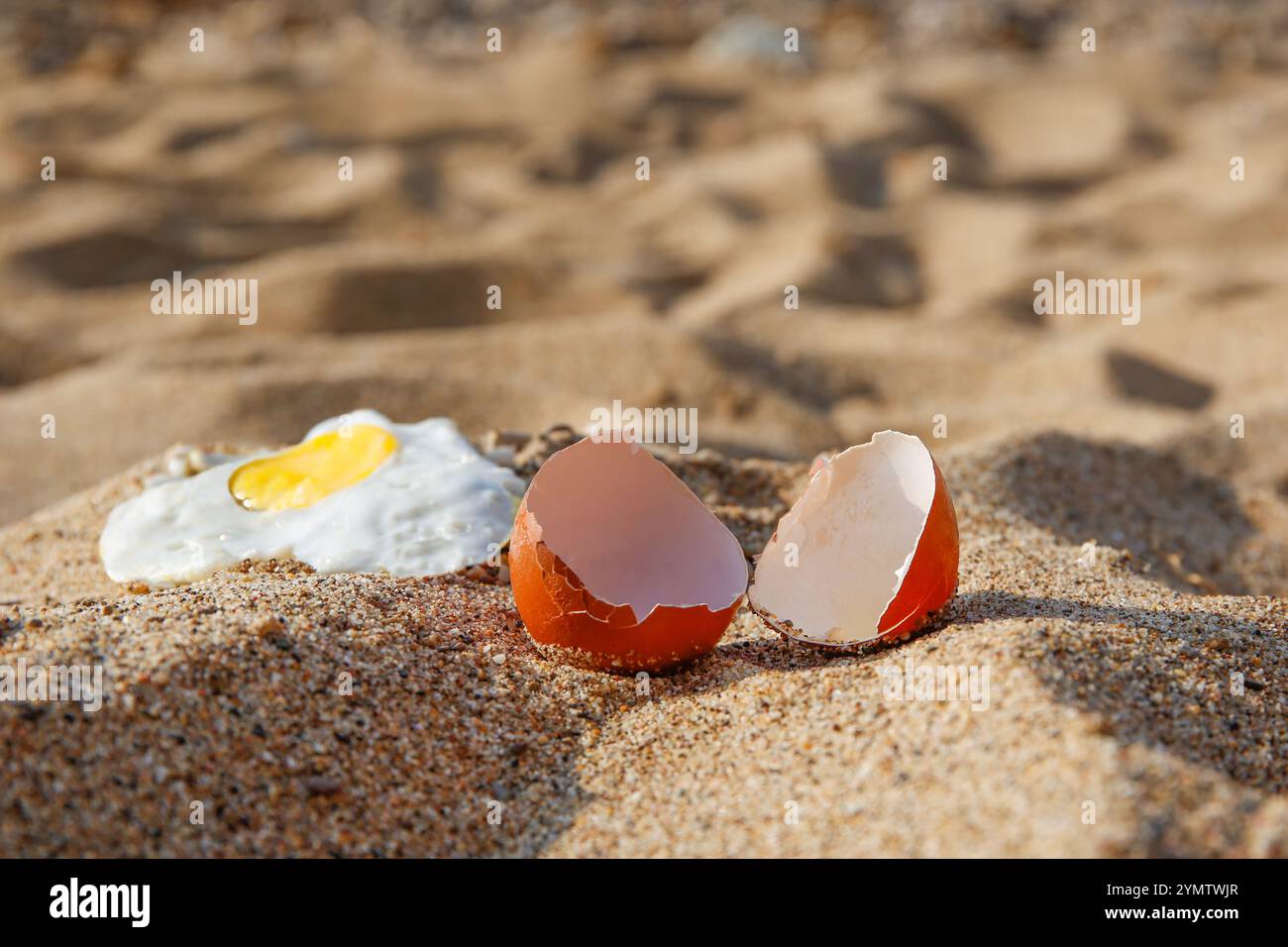 A chicken egg was fried in the sand. Hot weather on the beach Stock ...