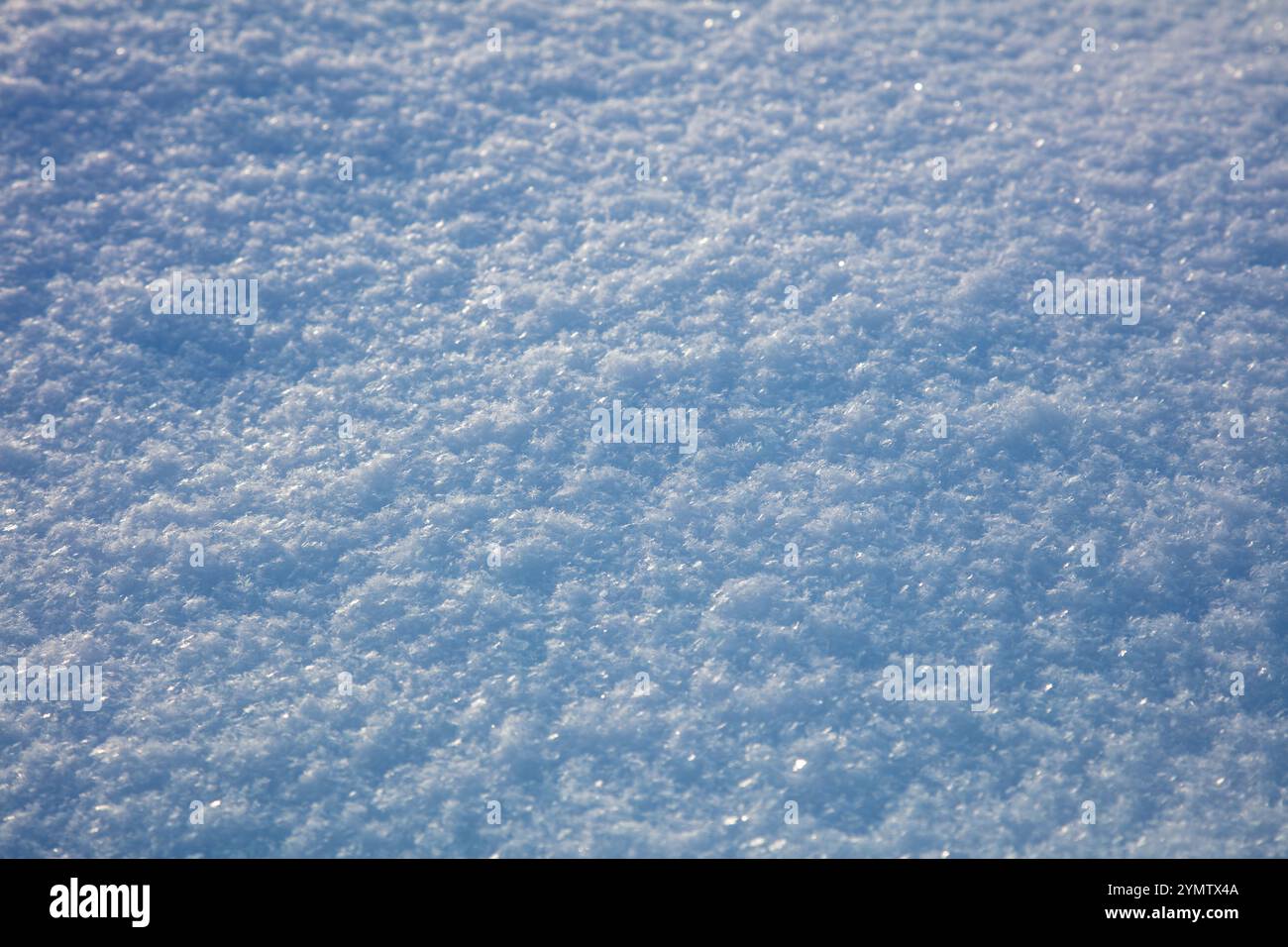 Winter background. Smooth layer of freshly fallen snow close-up Stock ...