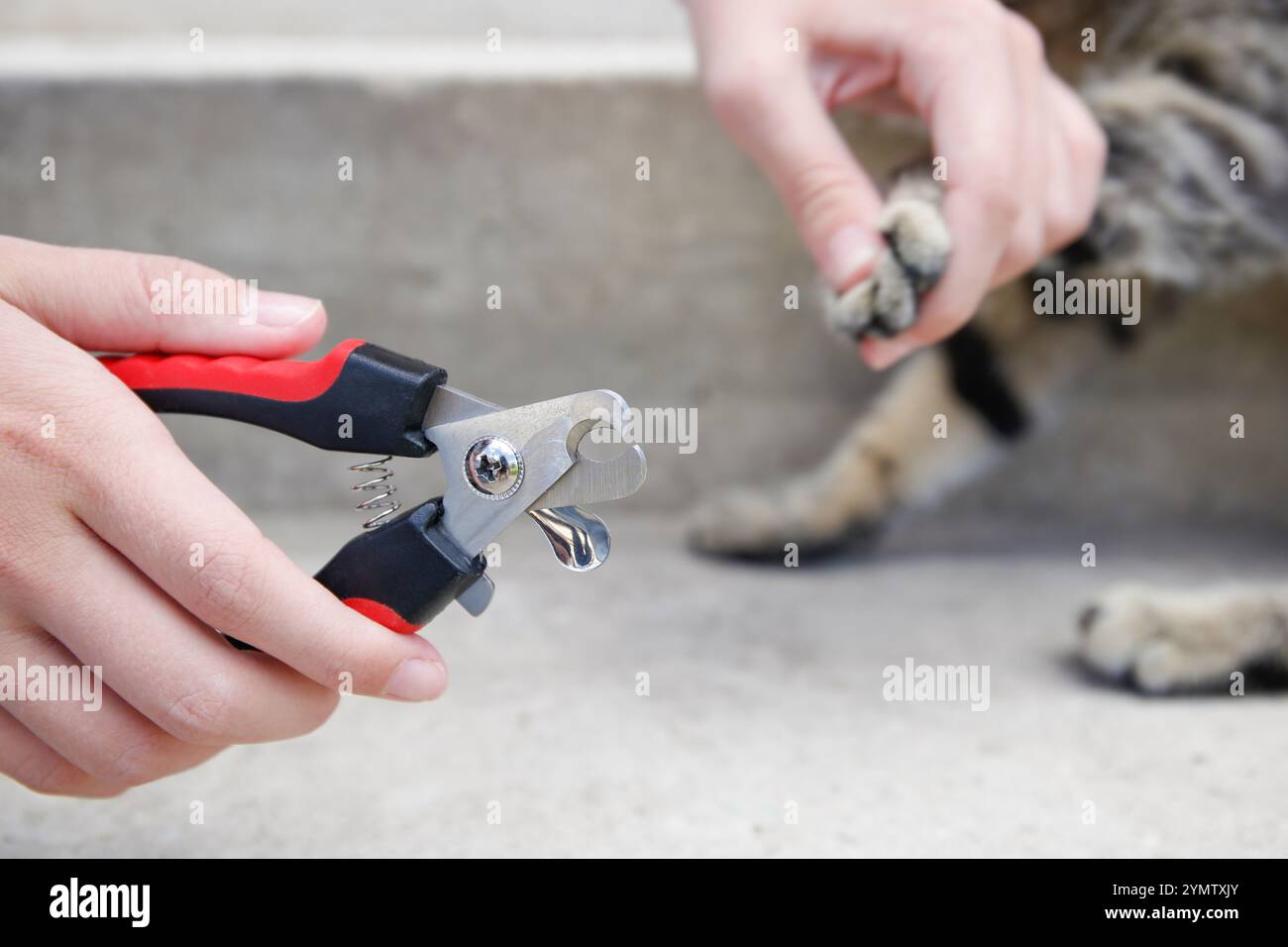 Domestic equipment claw cutter hi-res stock photography and images - Alamy