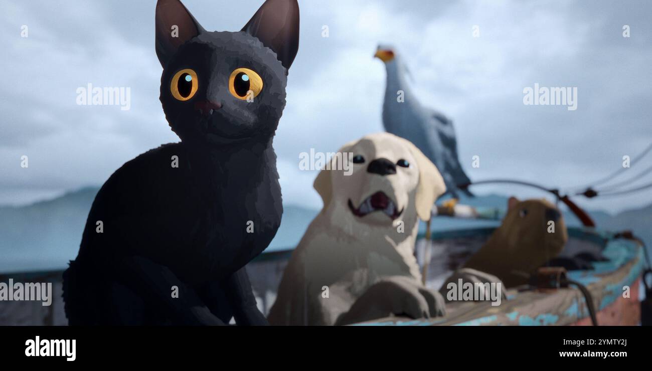 FLOW (2024), directed by GINTS ZILBALODIS. Credit: Dream Well Studio ...