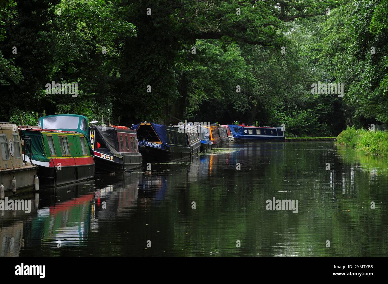 River Wey navigation near Pyrford, UK Stock Photo - Alamy