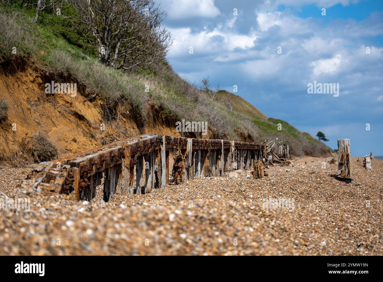 Historic wooden coastal defence groynes hi-res stock photography and ...